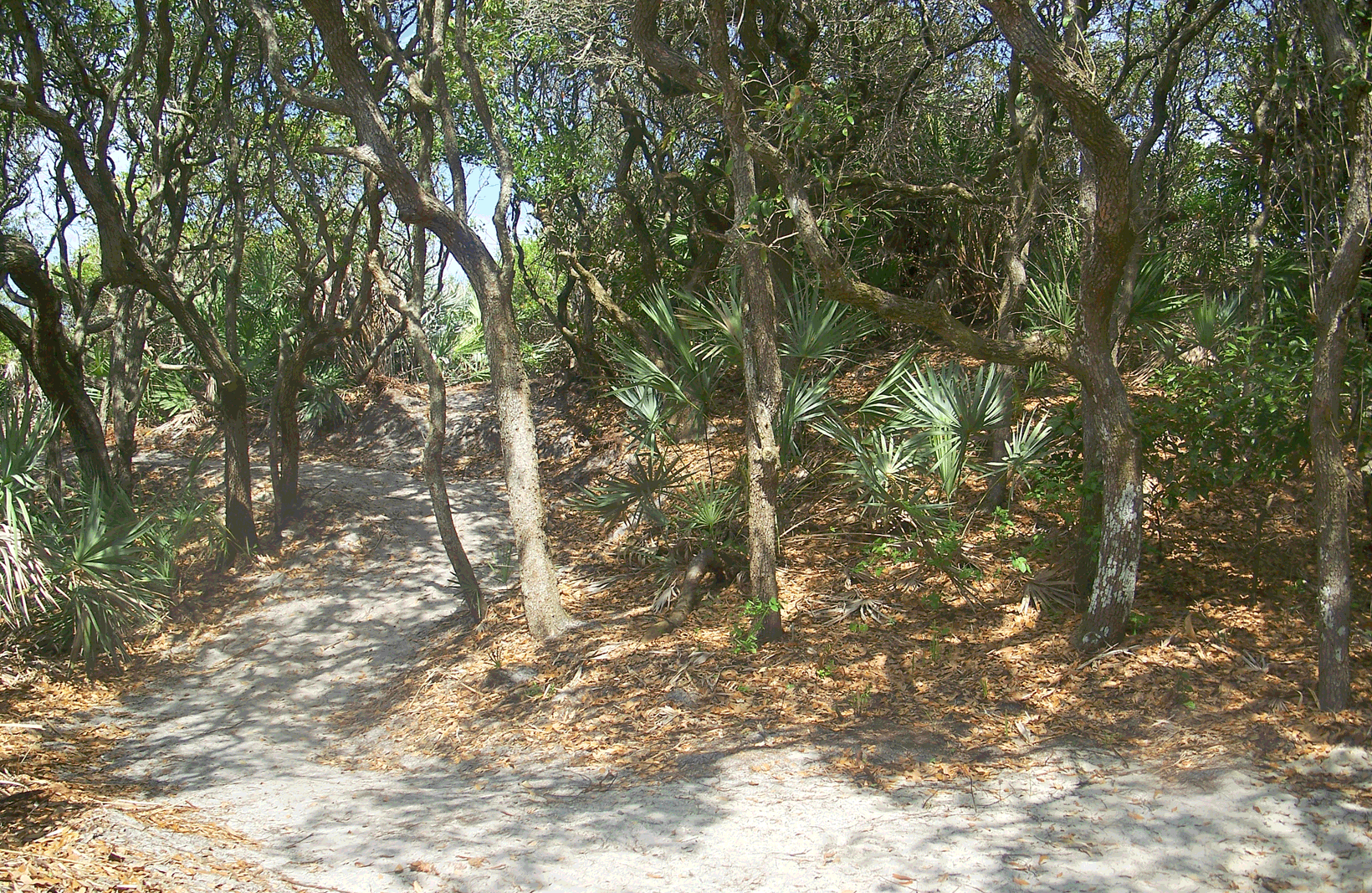 Green Mound State Archaeological Site - Trail of Florida's Indian Heritage